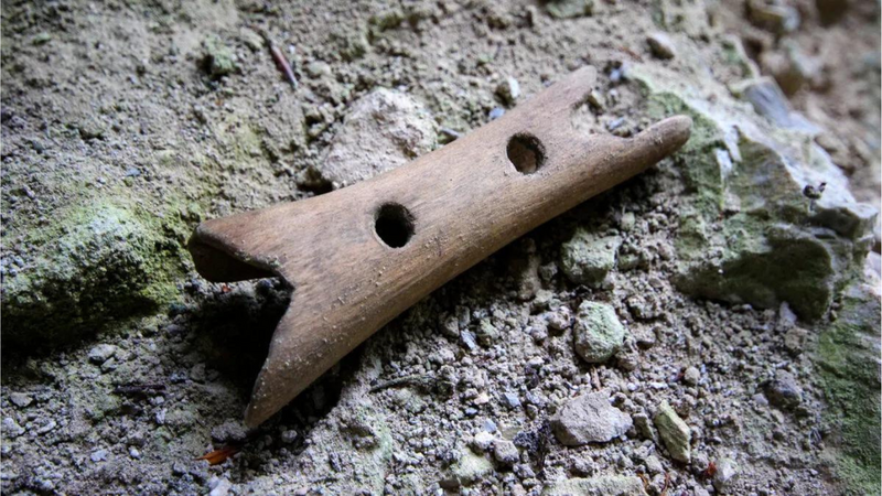 The Bone Flute: The Worlds Oldest Musical Instrument | The Revolver Club