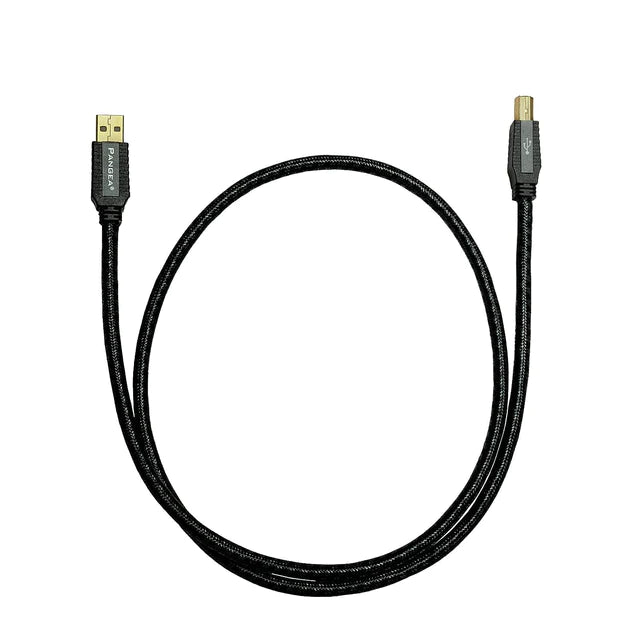 Pangea Premier SE MkII USB Cable A to B Digital Interconnect Cable 1.00 ...