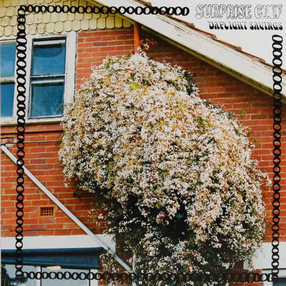 Surprise Chef – Daylight Savings (Mr Bongo) (Arrives in 30 Days) (Copy ...